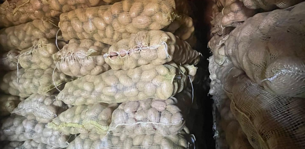 Productores advierten riesgos por papa importada - Medios OBSON
